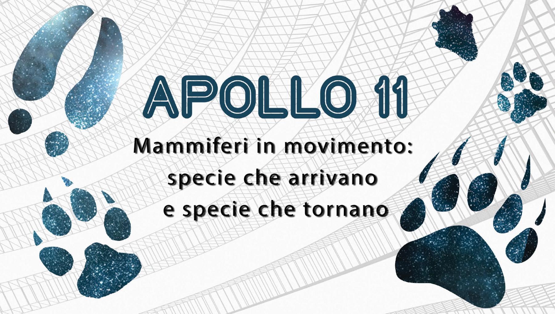M'ammalia 2019 - Apollo 11 Mammiferi in movimento: specie che arrivano ...